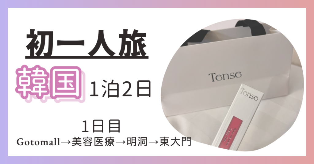 【韓国1人旅】Gotomall→明洞→美容クリニック→東大門！東横イン東大門1【1日目】 | Ponの子連れ旅ブログ